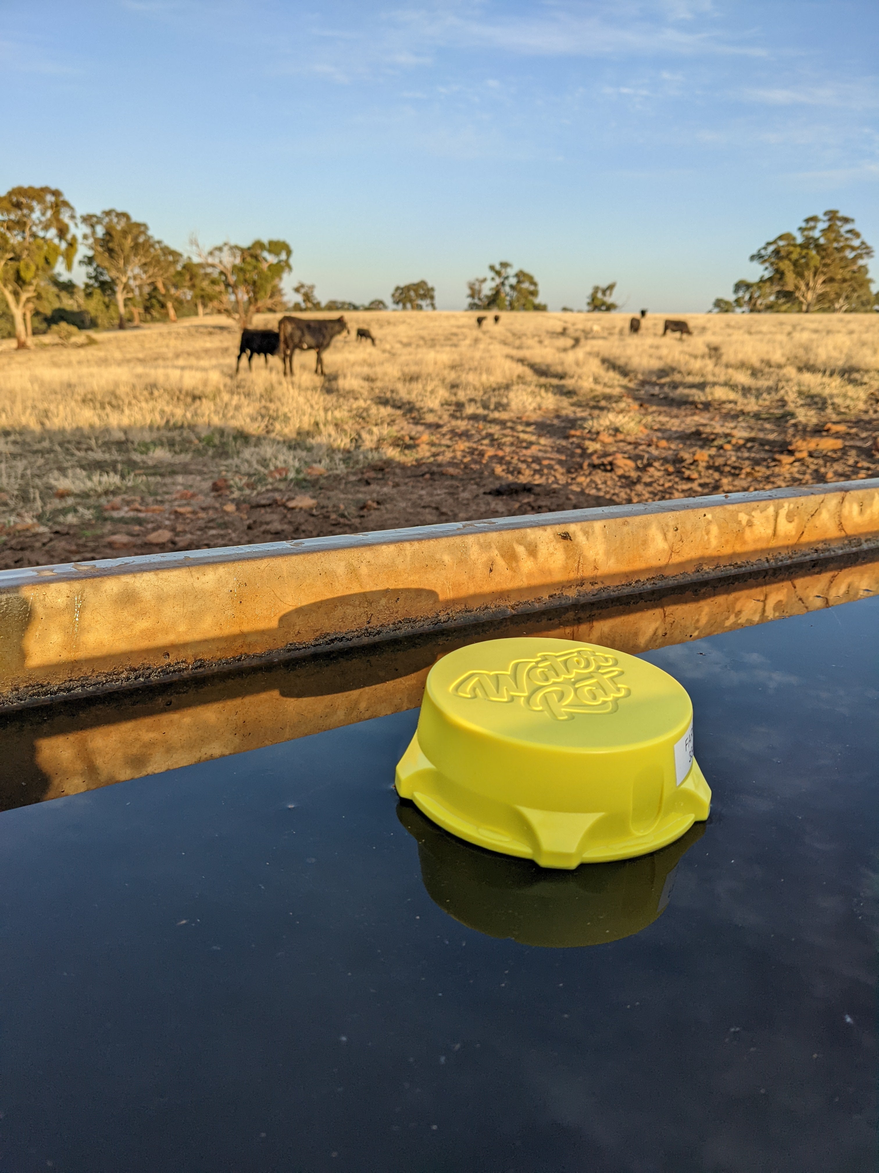 Farmo – IoT solutions for agtech, smart cities and remote monitoring